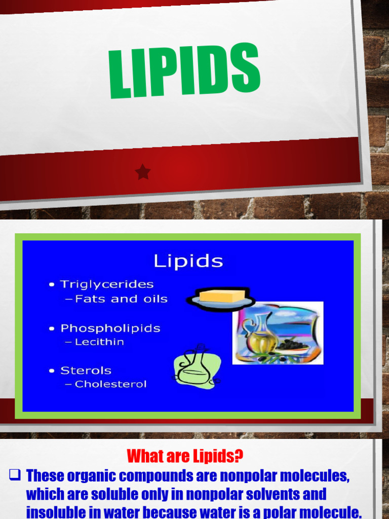 LIPIDS - (Biomolecules - For Grade 10) | PDF | Lipid | Fatty Acid