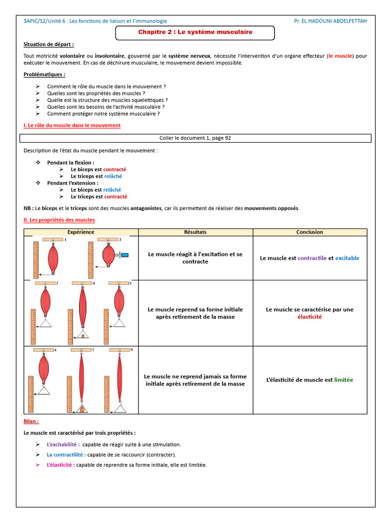 Propriétés et prévention des muscles | PDF | Muscle | Contraction du muscle