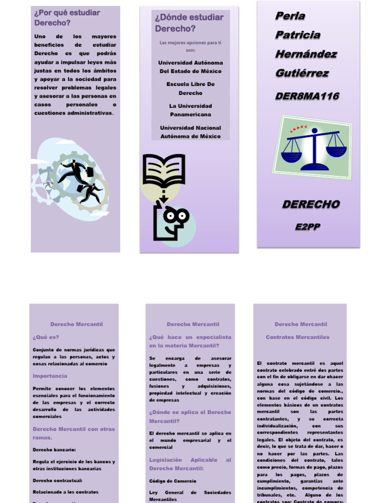 Triptico E2 PP | PDF | Derecho privado | Derecho civil (sistema legal)
