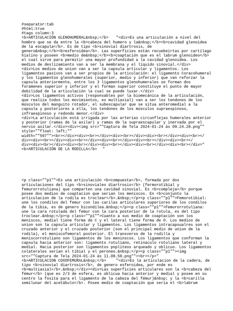 Final Anatomia | PDF | Laringe | Articulación