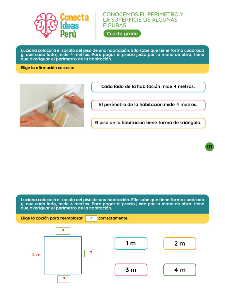 Conecta Ideas-Superficie y Perímetros | PDF