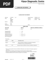Positive Dengue Fever Test Report Format Example Sample Template Drlogy ...