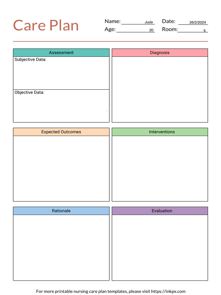 Nursing Care Plan Template | PDF