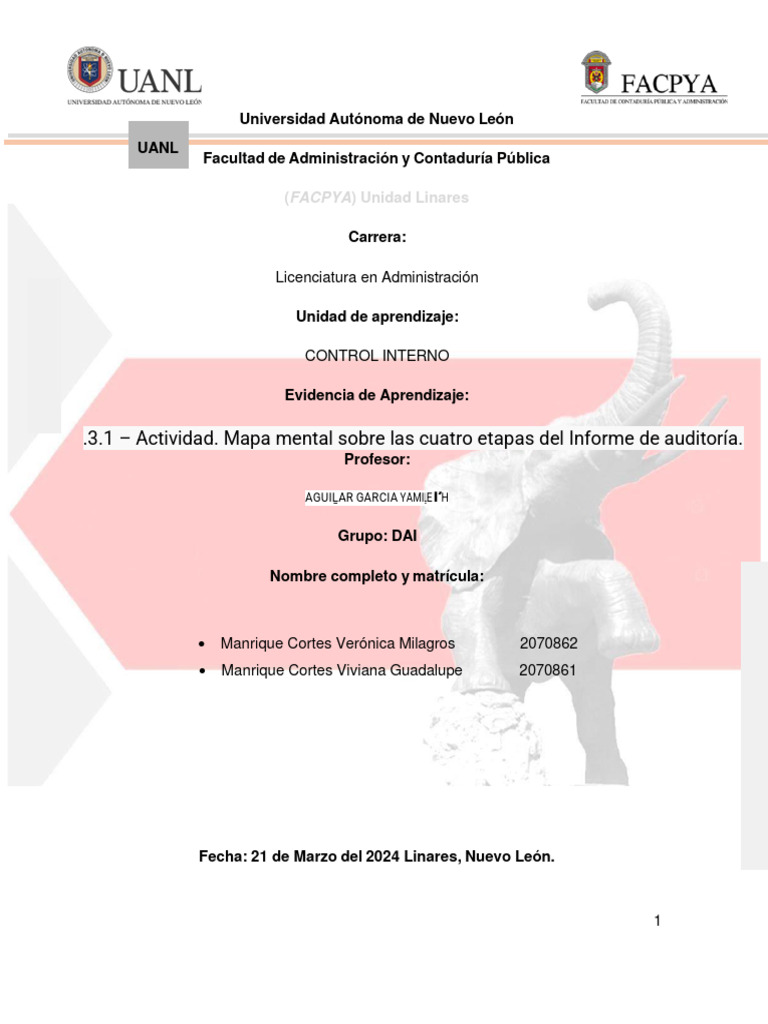 Mapa Mental Control Interno | Descargar gratis PDF | Auditoría | Evaluación