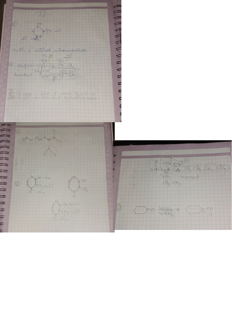 T2 Quimica Organica | PDF