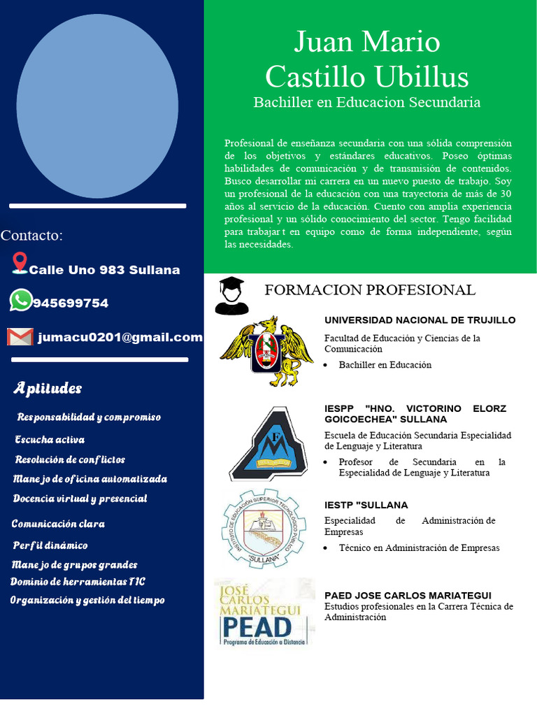 CV Juan Mario 2023 | PDF | Enseñando | Maestros