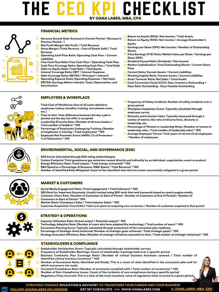 CEO's Essential KPI Guide | PDF | Net Income | Revenue