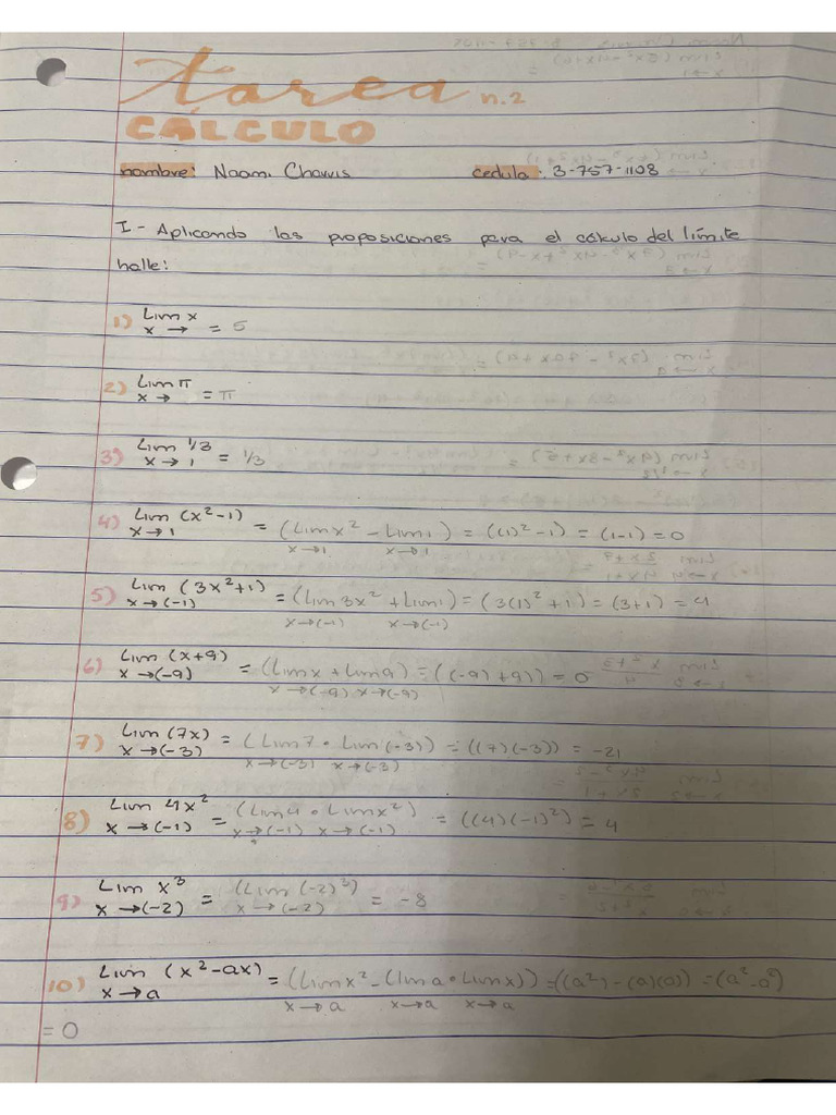 Tarea N.2 - Cálculo | PDF