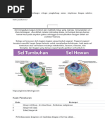Spesialisasi Sel | PDF