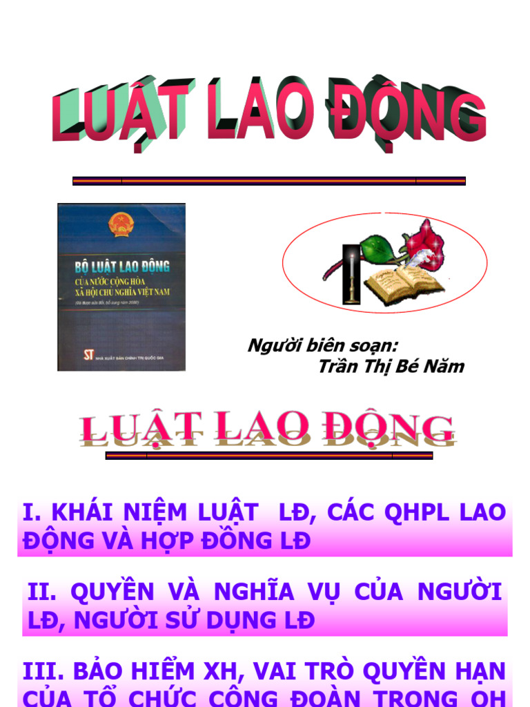 Bai 9-Luat Lao Dong. | PDF