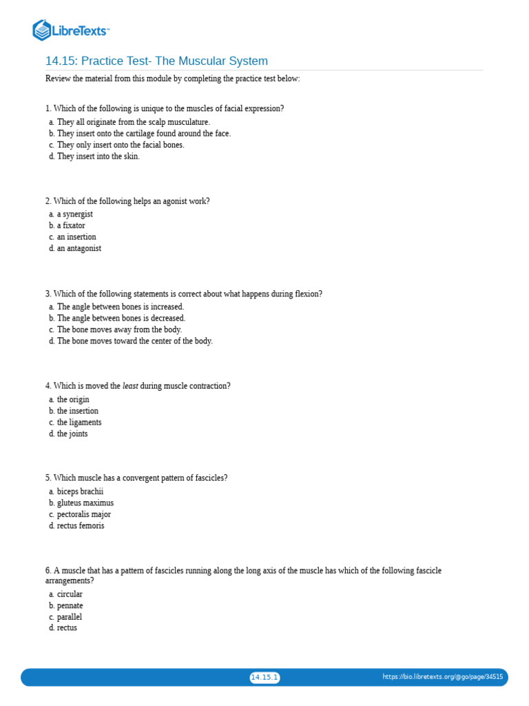 14.15 Practice Test - The Muscular System | PDF | Human Leg | Abdomen