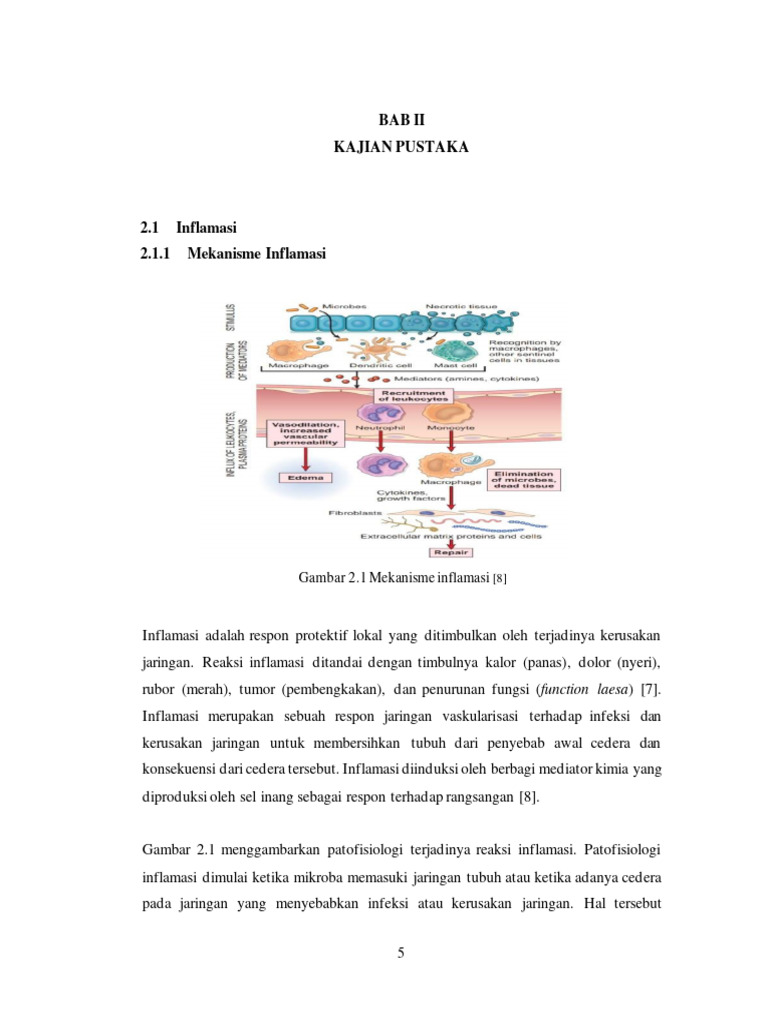 Mekanisme dan Klasifikasi Inflamasi | PDF | Sains & Matematika