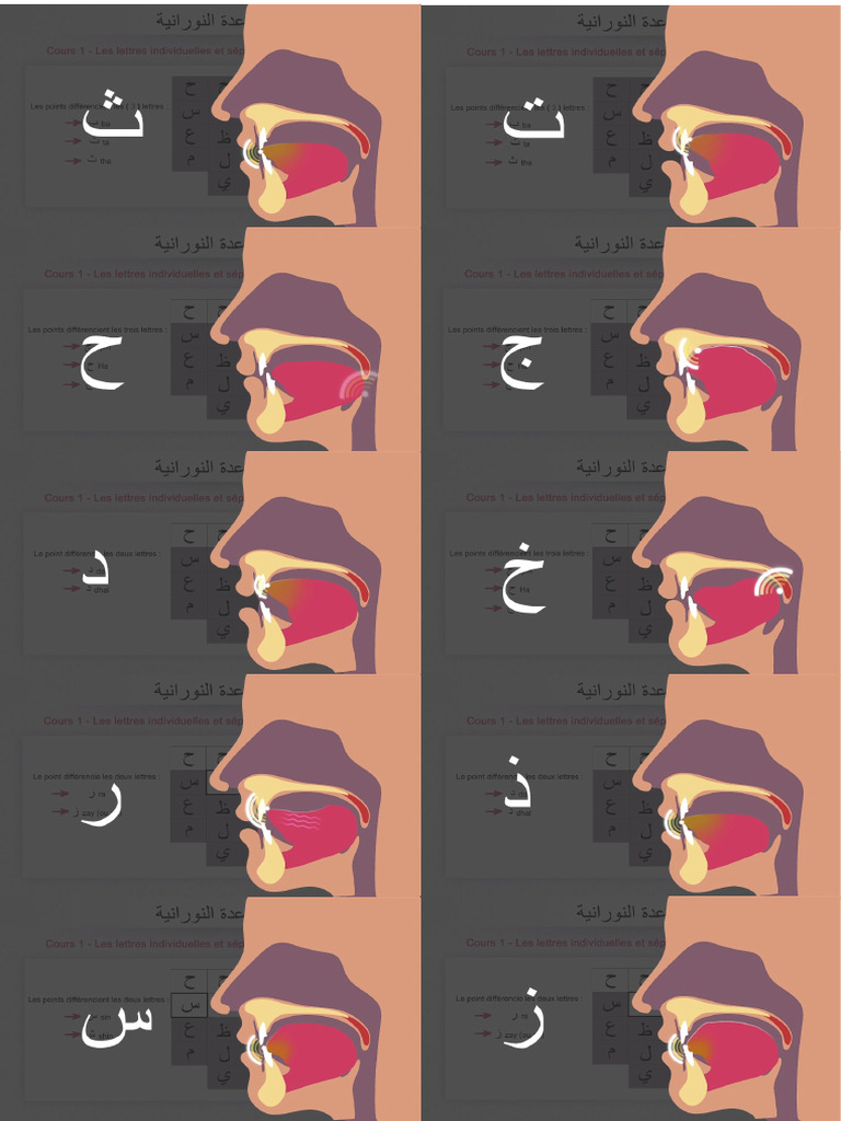 Lettre Arabe Point D'articulation | PDF