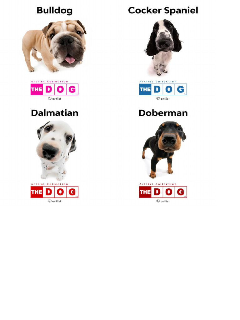 DOGS | PDF