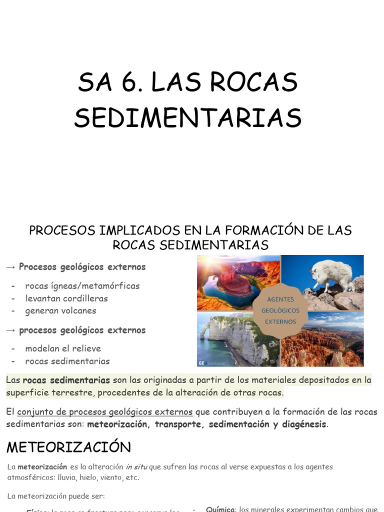 Sa 6. Las Rocas Sedimentarias | PDF | Roca sedimentaria | Roca clástica