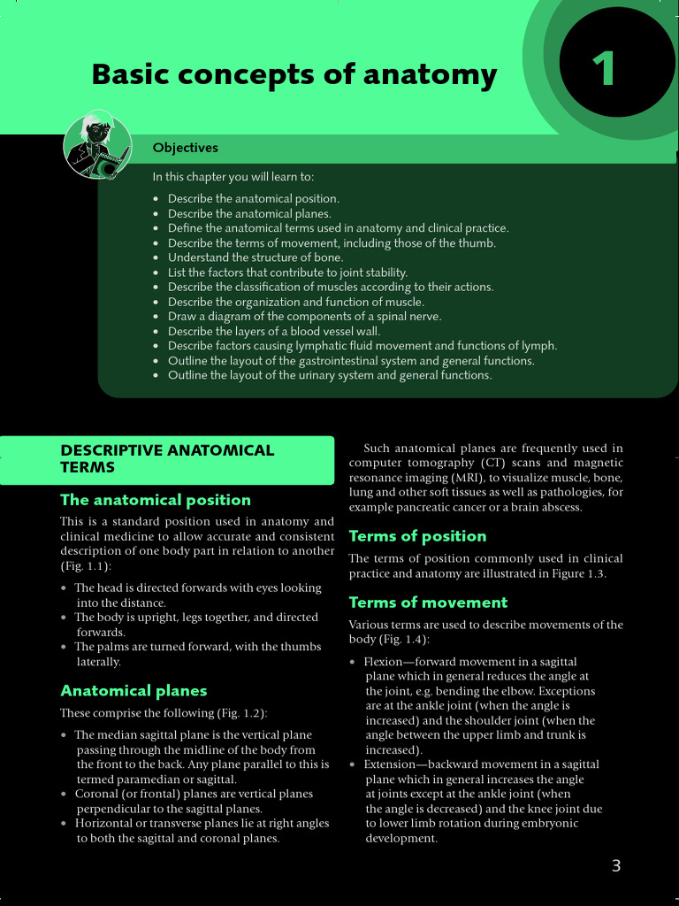 Basics of Anatomy and Physiology-Invert | PDF | Anatomical Terms Of ...