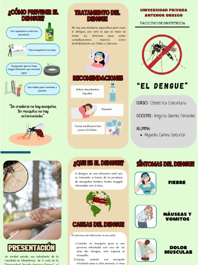 Triptico Dengue | PDF