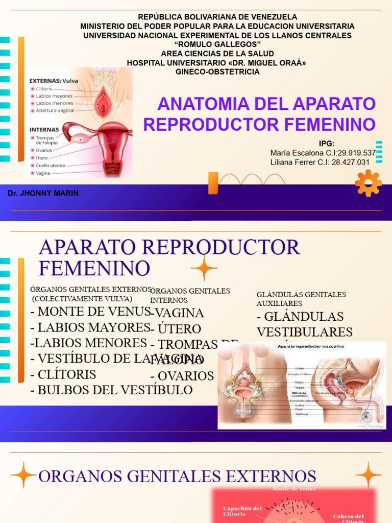 Anatomia Del Aparato Reproductor Femenino-1 | PDF | Vagina | Sistema reproductivo