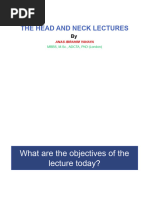 Unlabeled Axial Skeleton Overview | PDF | Skull | Skeletal System