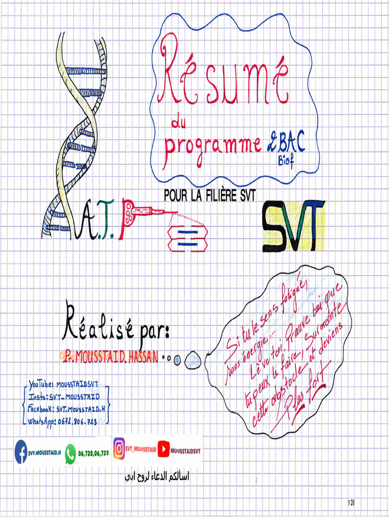 Résumé Du Programme SVT 2 BAC SVT Biof PR Mousstaid - R | PDF