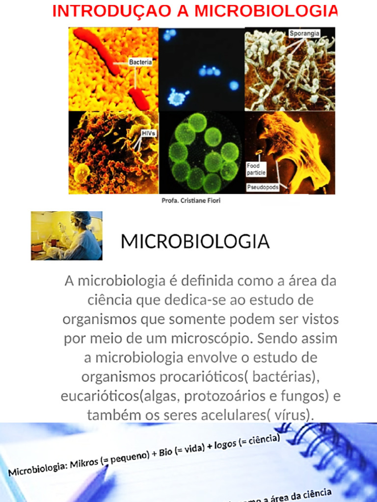 1.microbiologia - Aula 08.03 | PDF