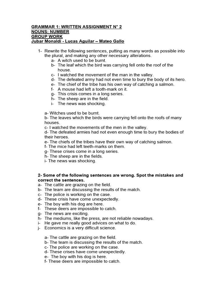 Written Assignment #2 Nouns Number 2024 | PDF | Plural | Noun