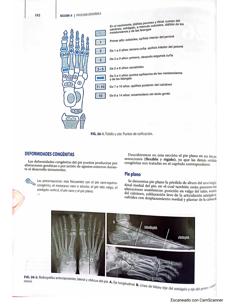 Tipos de Marcha 2 | PDF