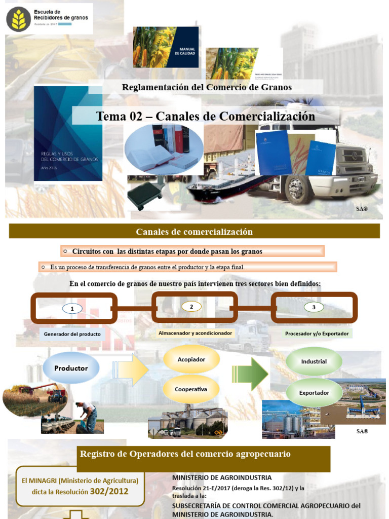 02 Reg T02 Canales Comerc PP PPDF | PDF | Pesticida | Agronegocios
