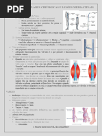 Classificação CEAP em Insuficiência Venosa | PDF | Varizes | Veia