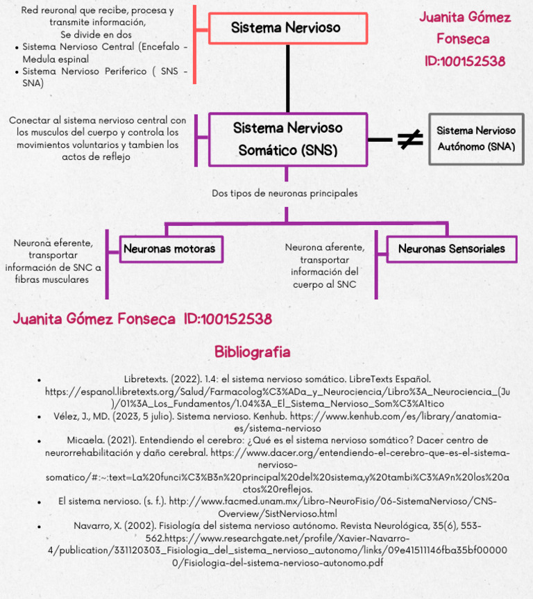 Actividad 5 - Lo Que Podemos Controlar - Mentefacto | PDF | Sistema nervioso | Sistema nervioso ...