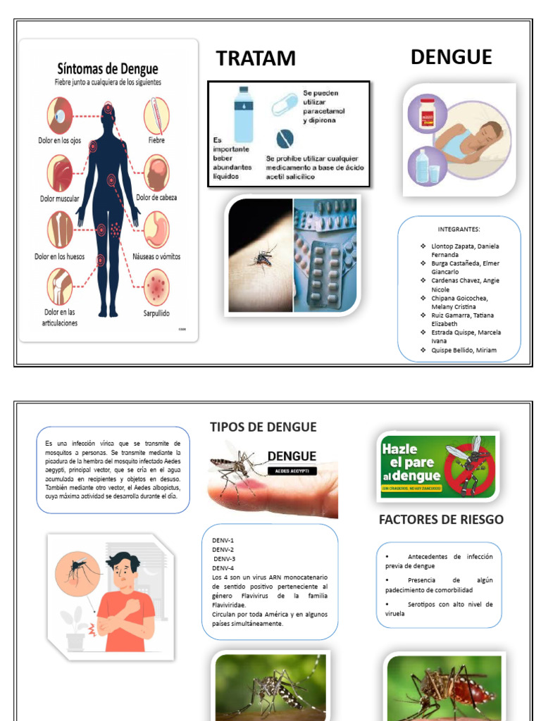 Triptico Dengue | PDF