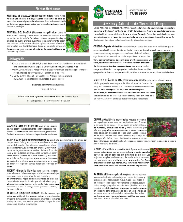 Arbustos Nativos de Tierra del Fuego | PDF | Ramas de la botánica ...