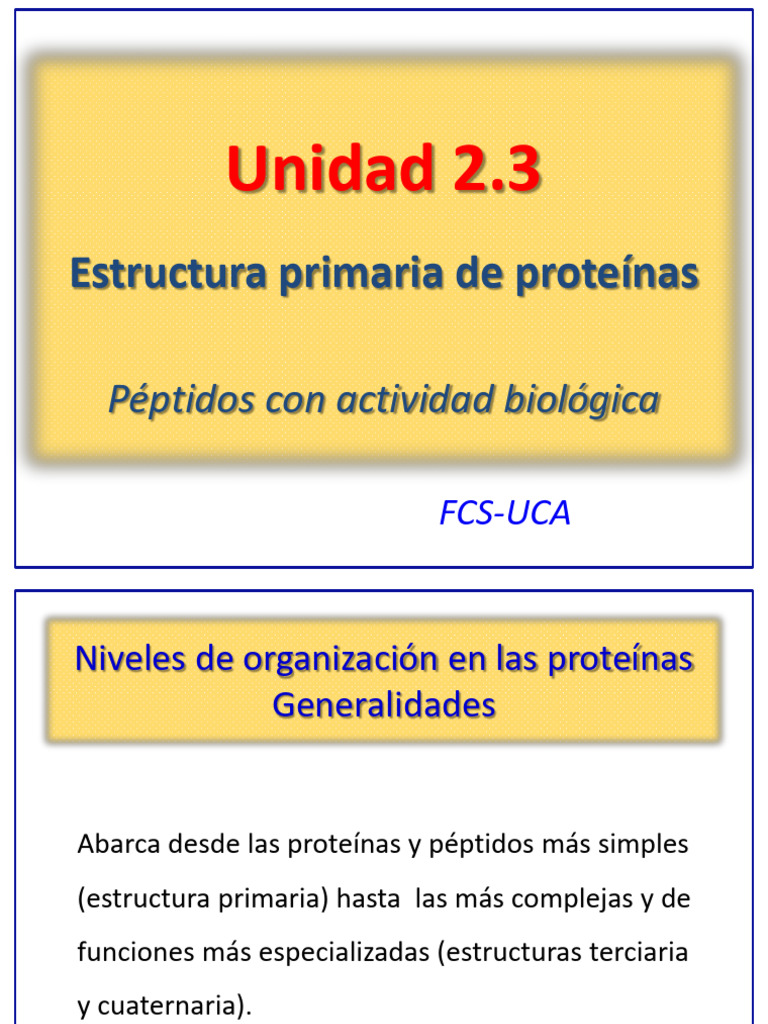 2.3-Proteinas - Est. Primaria | PDF | Aminoácidos | Péptido