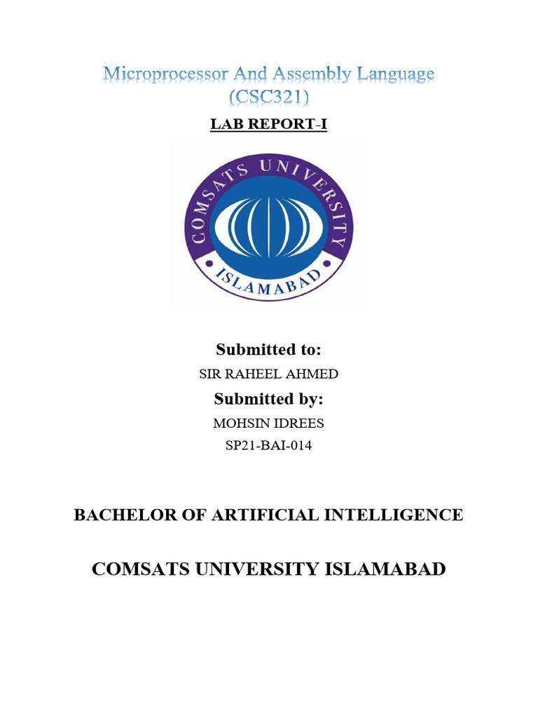 Mal Report 1 | PDF