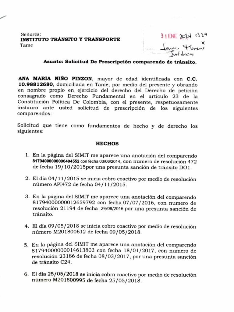 D.P. Ana María Niño Pinzón | PDF