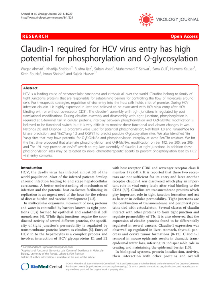 Claudin 1 Required For HCV Virus Entry H | PDF | Hepatitis C Virus ...