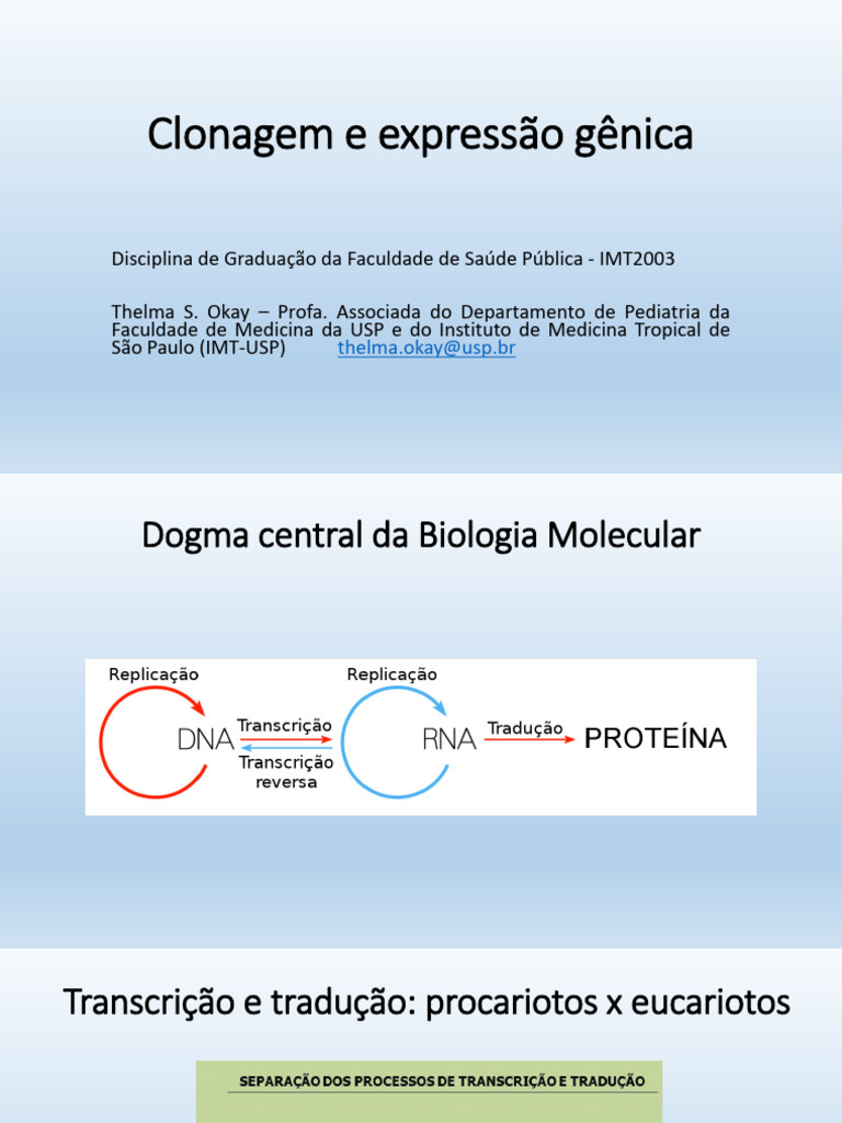 Disciplina IMT2003 Clonagem e Expressão Gênica | PDF | Plasmídeo ...