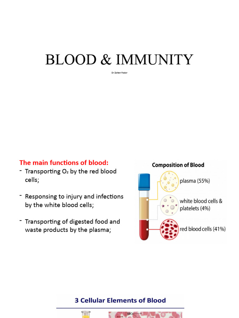 S6 Blood & Immunity | PDF | Lymphatic System | Immune System