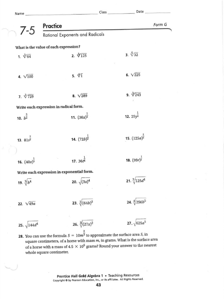 Rationals Practice | PDF