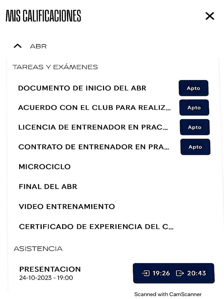 Programa y Calificación UEFA C | PDF