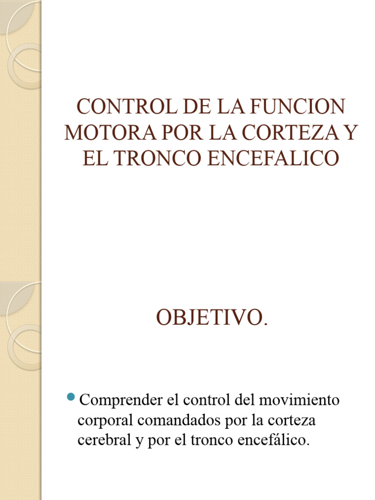 Presentacion Cerebro y Funcion Motora | PDF | Cerebro | Corteza cerebral