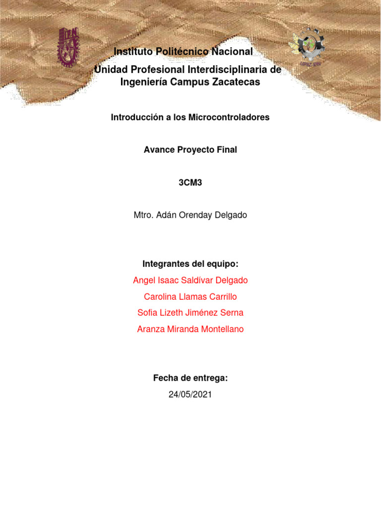 Proyecto Final Avance 1 | PDF