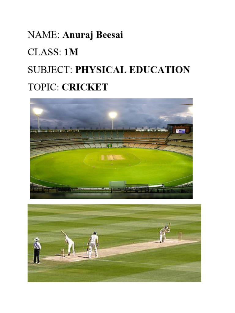 A Description of Cricket | PDF | Cricket | Summer Sports