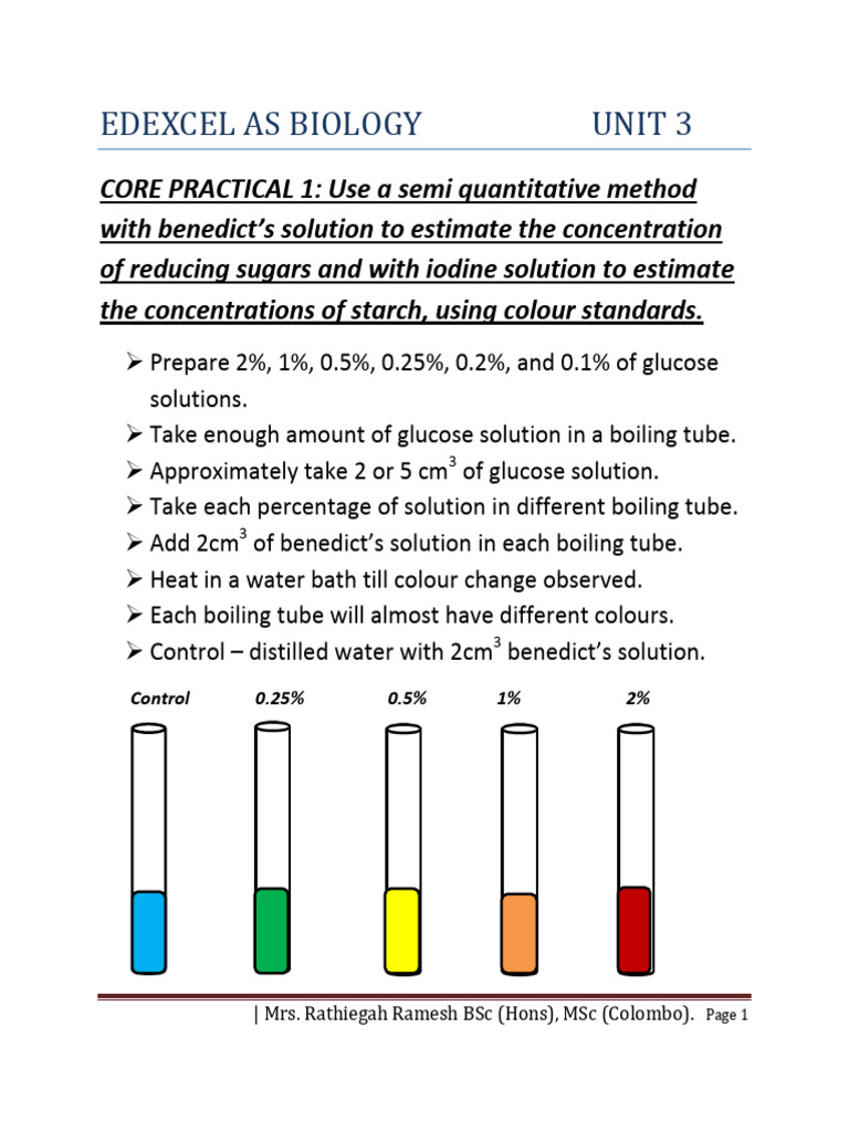 Unit_3 IAl Biology | PDF | Electron Microscope | Enzyme