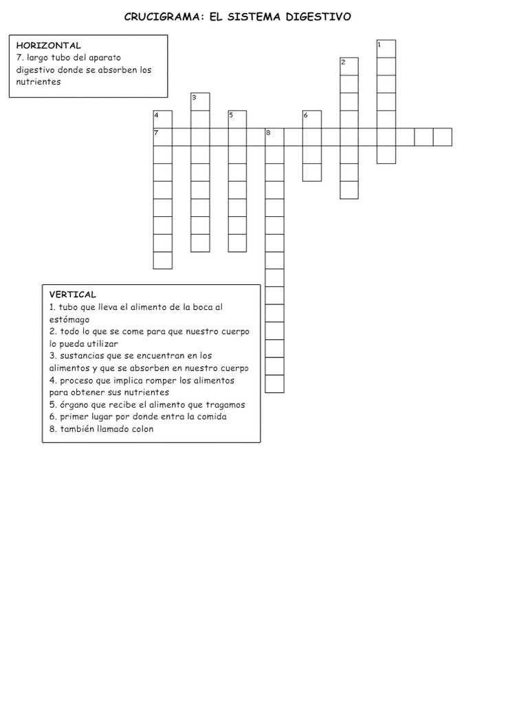 Crucigrama Sistema Digestivo | PDF