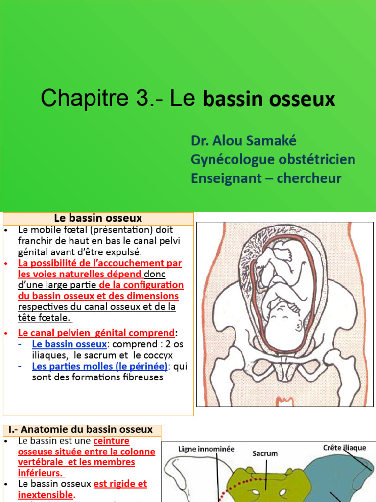 Anatomie du bassin osseux et dimensions | PDF | Bassin (anatomie ...