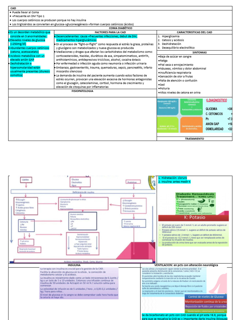 Cetoacidosis Diabética y Coma: Causas y Tratamiento | PDF | Diabetes ...