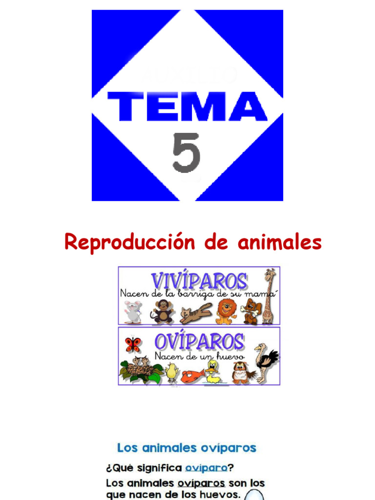 Tema 5 Oviparos y Viviparos PPT Guia | PDF
