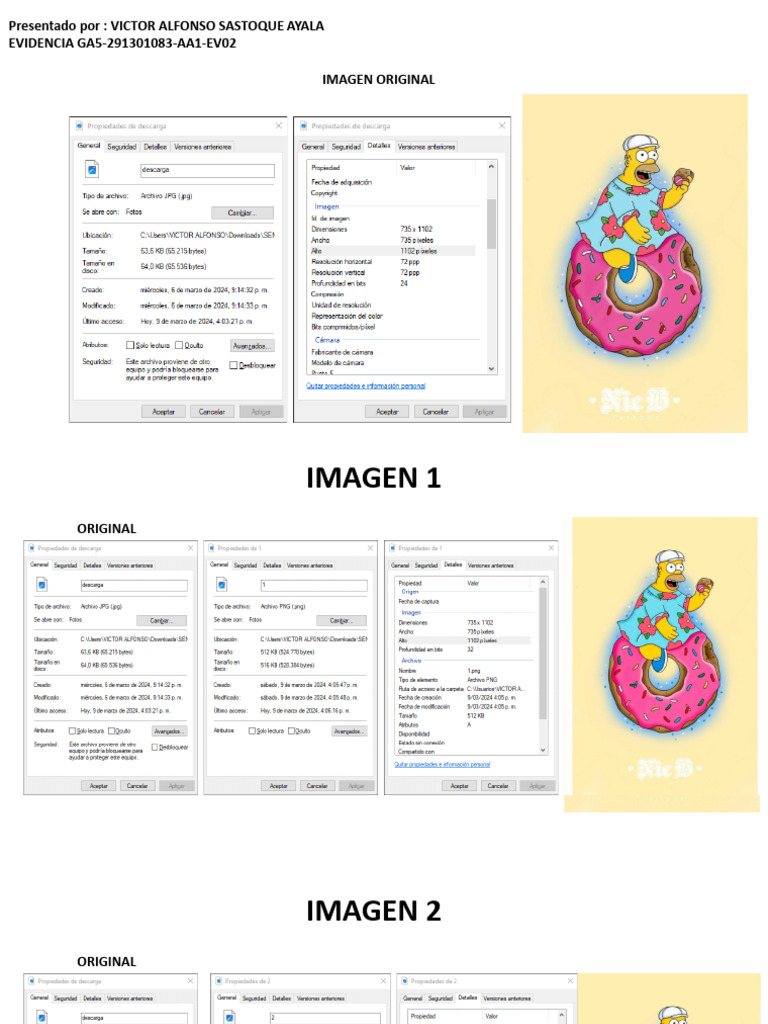 Evidencia Ga5-291301083-Aa1-Ev02 | PDF | Formato de imagen sin procesar | Imagen