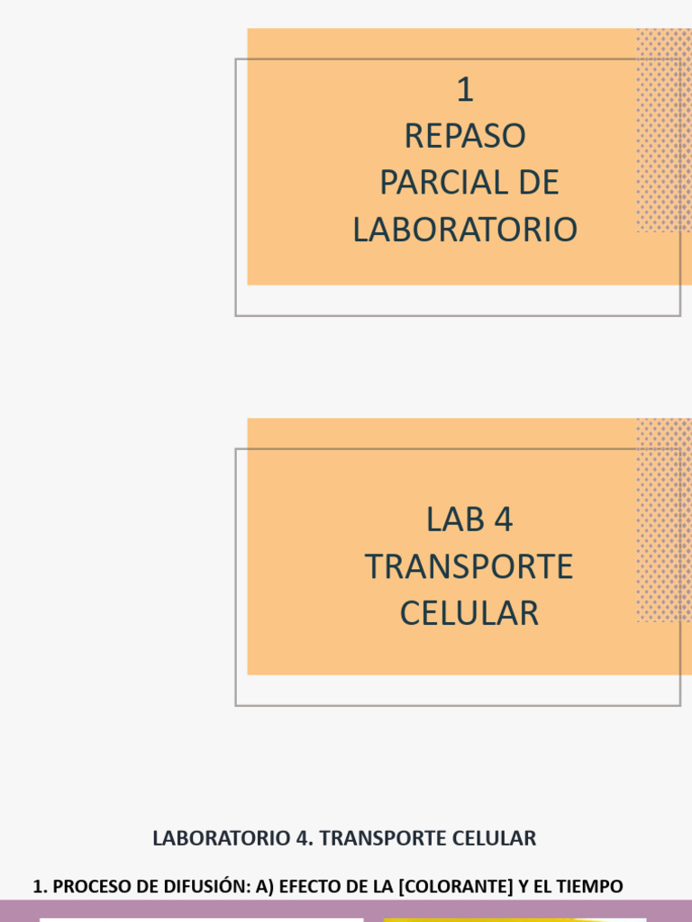 1 Repaso Parcial de Laboratorio Lab 4 | PDF | Biología | Sustancias ...
